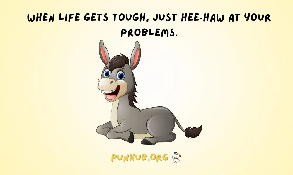 150 Clever Donkey Puns To Make Your Friends Hee-Haw - Pun Hub